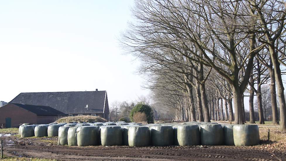 Britse studenten ontwikkelen eetbaar balenplastic | Melkvee.nl - Nieuws ...