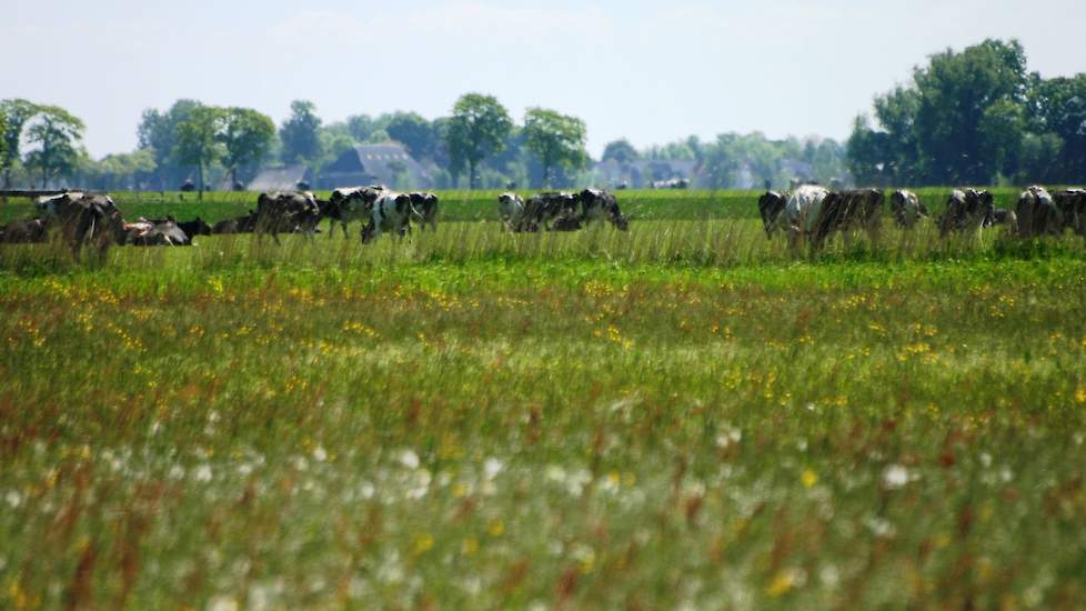 Limagrain › Agrarisch natuurbeheer: aan de slag met kruidenrijk ... Limagrain › Agrarisch natuurbeheer: aan de slag met kruidenrijk ...