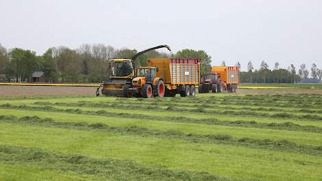 Ruwvoer is hot, maar pas op dat het niet warm wordt! | Melkvee.nl ...