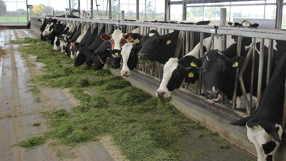 Miljoenen extra voor innovatie en verduurzaming stallen | Melkvee.nl ... Miljoenen extra voor innovatie en verduurzaming stallen | Melkvee.nl ...