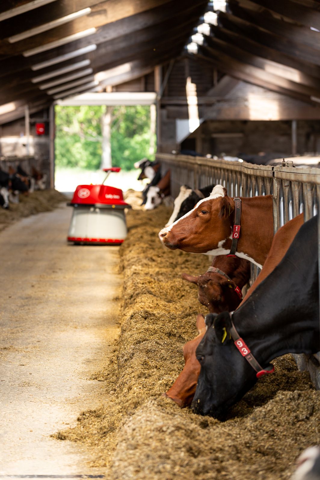 Lely › “Het voer wordt de hele dag door aangeschoven, ook als je er ...