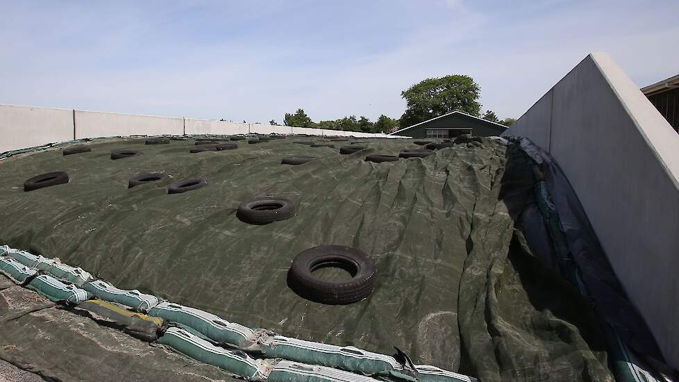 ‘Graskuil eerst opmeten, dan pas open maken’ | Melkvee.nl - Nieuws en ...