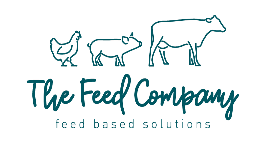 Feed Company › Home | Melkvee.nl - Nieuws en kennis voor de melkveehouder