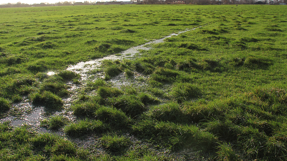 STAF: CBS en Kringloopwijzer maken fout met meerekenen luchtstikstof ...
