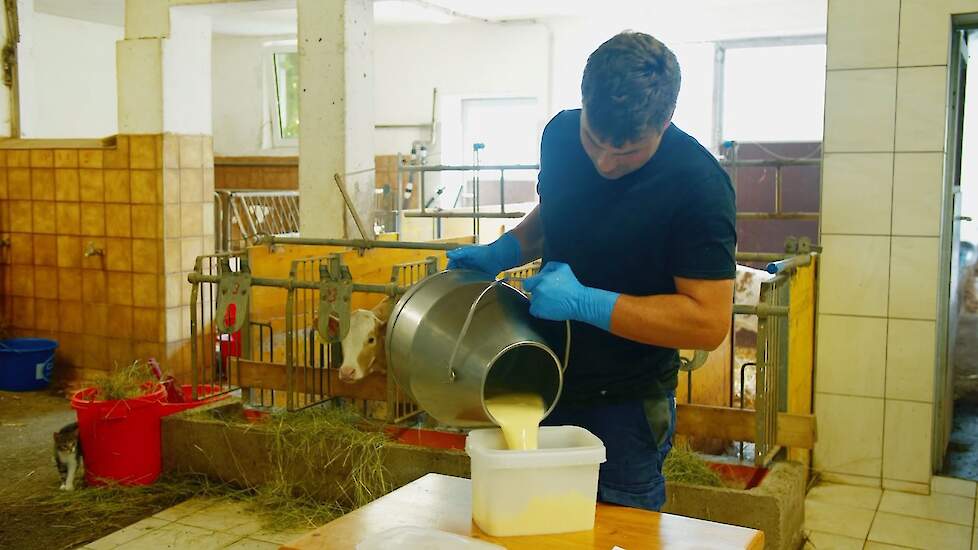 Colostrum BioTec brengt koeienbiest aan de man | Melkvee.nl - Nieuws en ...