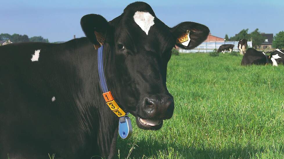 Meest klimaatvriendelijke melk komt uit Vlaanderen | Melkvee.nl ...