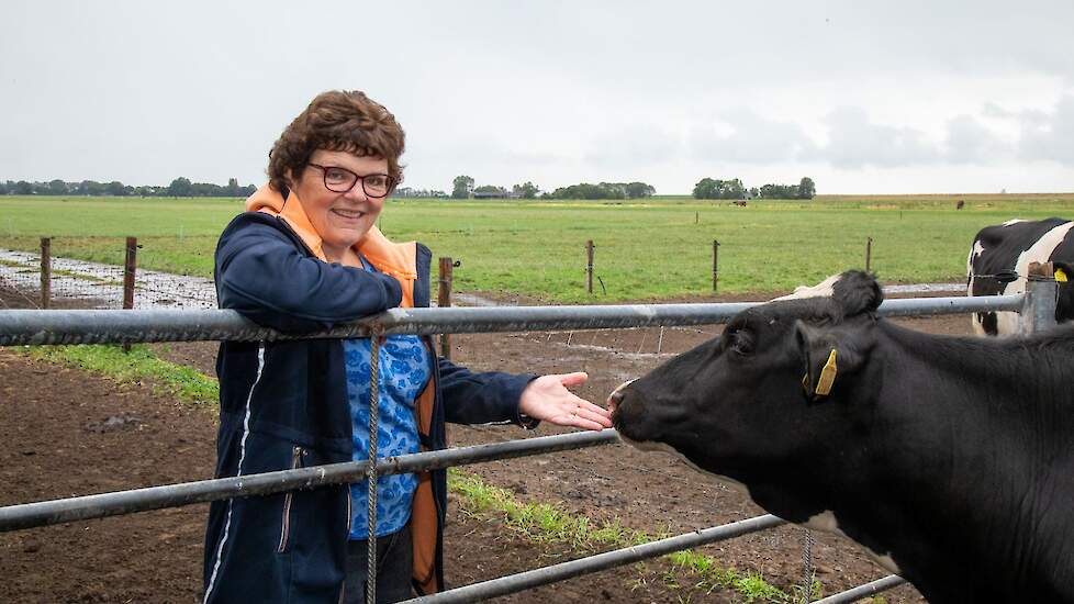 Column: Groen doen, maar rood staan | Melkvee.nl - Nieuws en kennis ...