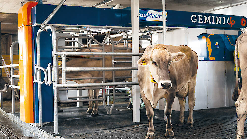 BouMatic › Het Gebruik van Kunstmatige Intelligentie in Robotmelken ...