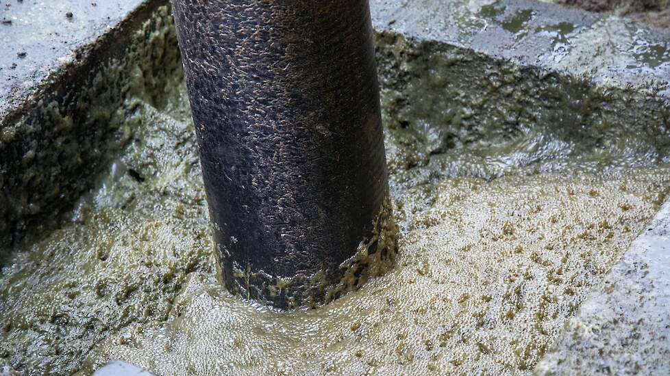 Cumela: ‘Mestputten komen niet leeg’ | Melkvee.nl - Nieuws en kennis ...