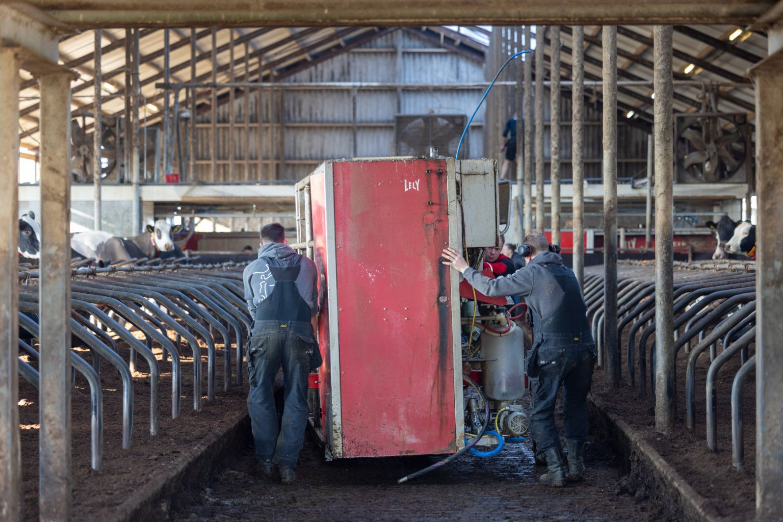 Lely › Familie de Lange vervangt A2 melkrobots voor A5: ‘Veel ...
