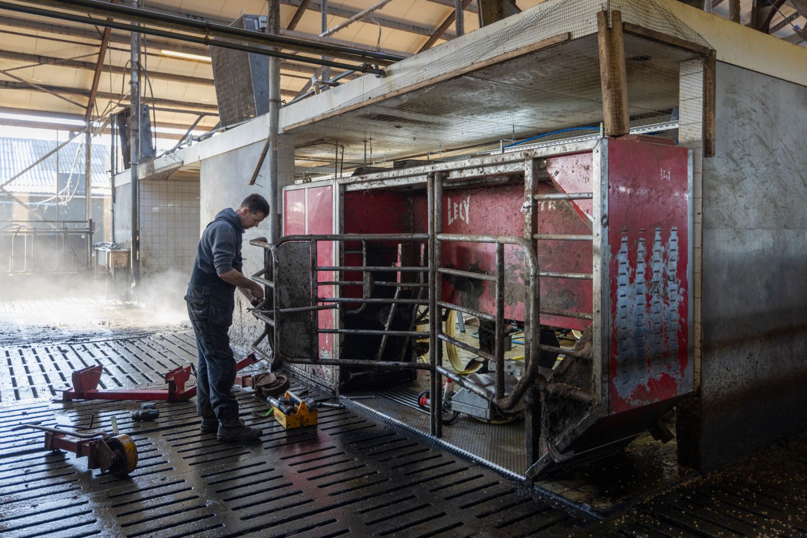 Lely › Familie de Lange vervangt A2 melkrobots voor A5: ‘Veel ...