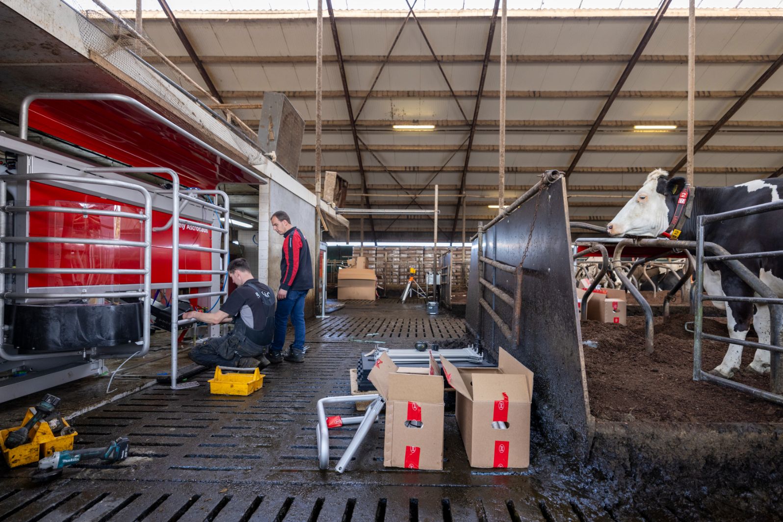 Lely › Familie de Lange vervangt A2 melkrobots voor A5: ‘Veel ...