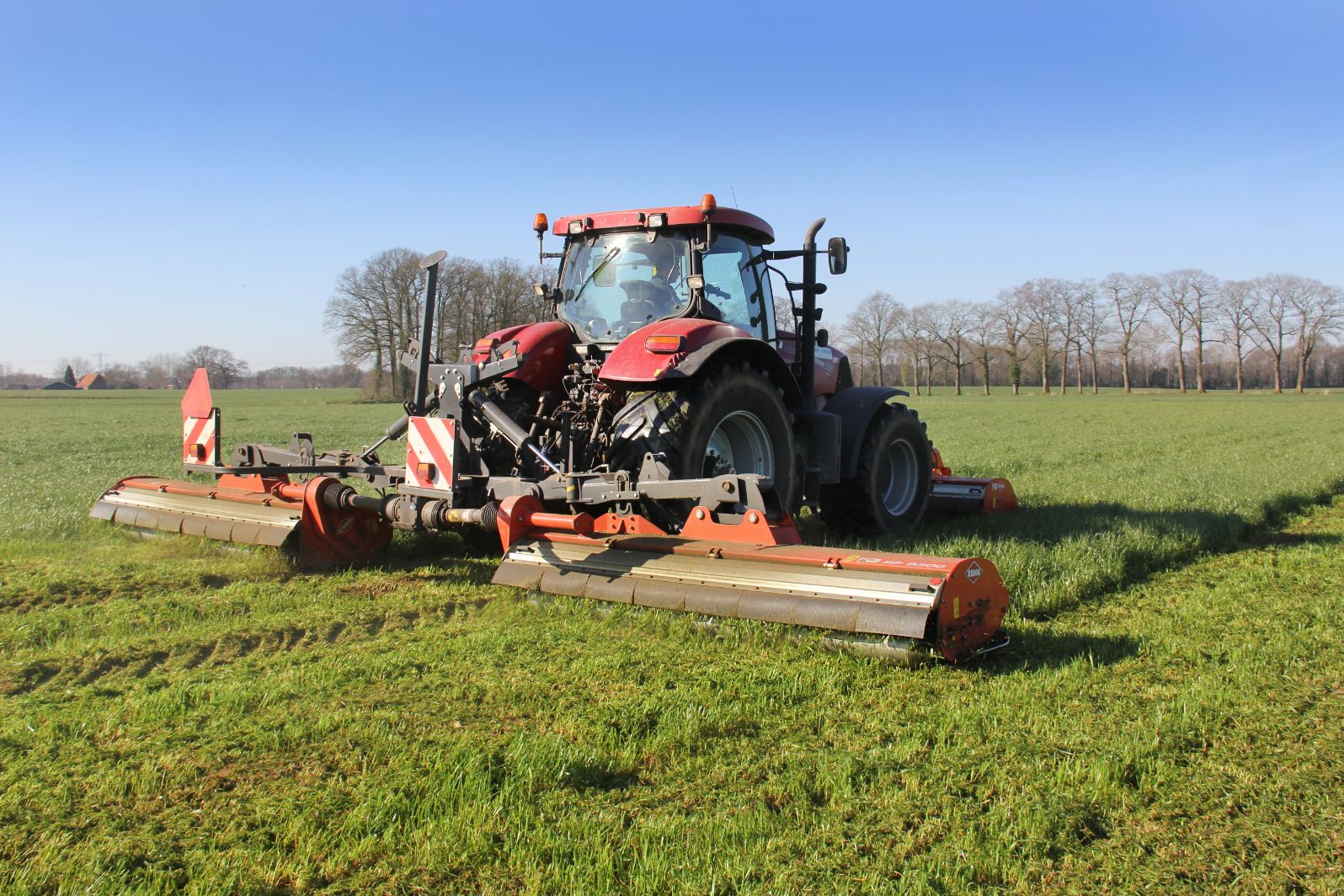 ‘Nut tijdig onderwerken vanggewas wordt nog onderschat’ | Melkvee.nl ...