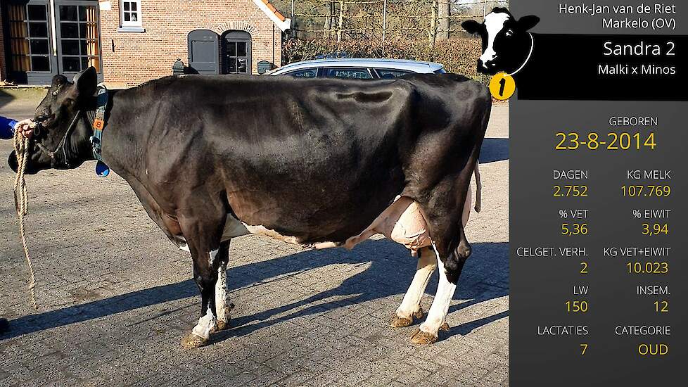 De Beste Boerenkoe › Video: Beste Boerenkoe: Sandra 2; efficiënte productie op een sober ...