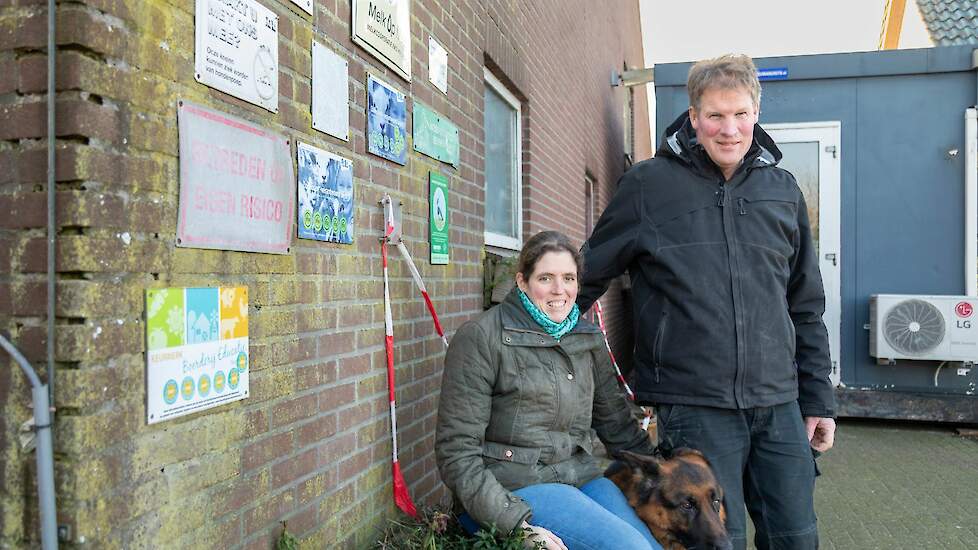 Koeien van familie Hennipman belanden in mestput door bedrijfsongeval ...