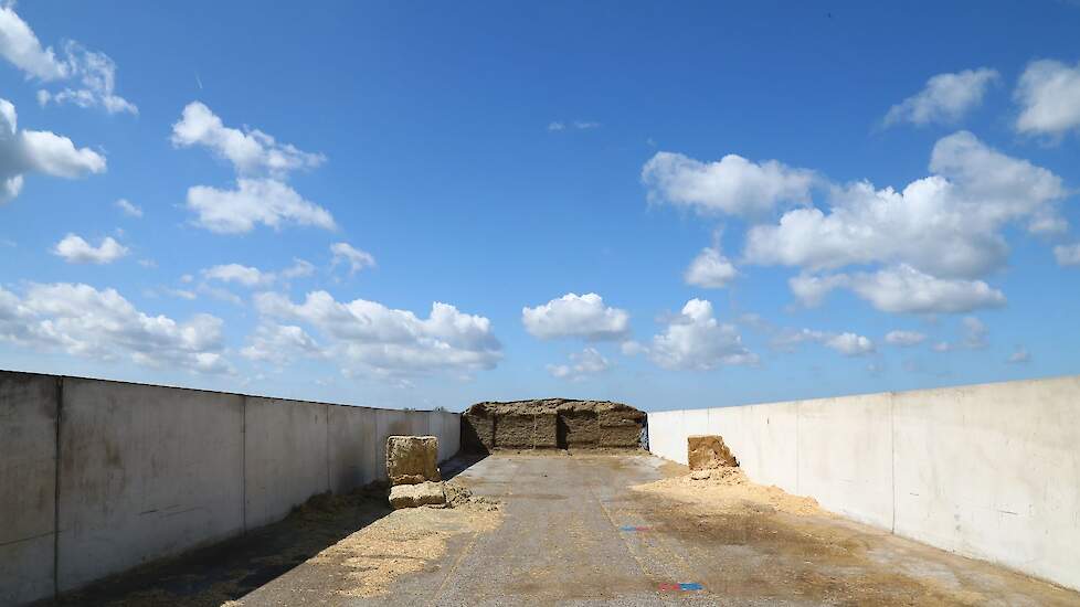 Rechter fluit gemeente Westerwolde terug: innovatieve proefstal voldoet ...