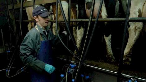 Nederlandse melkput vaak slecht verlicht | Melkvee.nl - Nieuws en ...