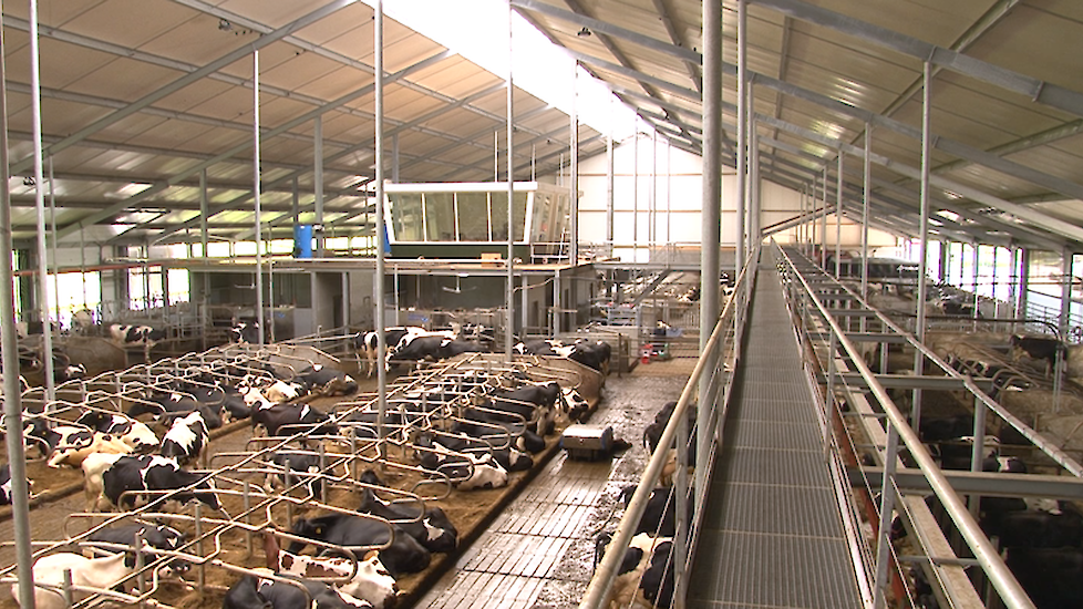 Video: Automatisering in nieuwe stal ‘de Telegraaf’ | Melkvee.nl - Nieuws en kennis voor de ...
