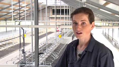 Video: Boerin Agnes: stal in eigen stijl | Melkvee.nl - Nieuws en ...