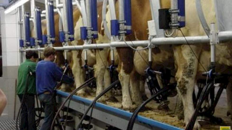 Capaciteit in de melkstal is meer dan de grootte | Melkvee.nl - Nieuws ...