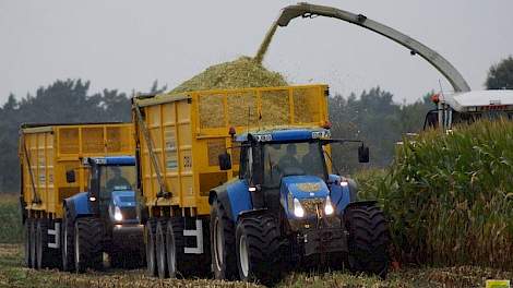 Topmaïs › 17 nieuwe rassen op maïsrassenlijst | Melkvee.nl - Nieuws en ...