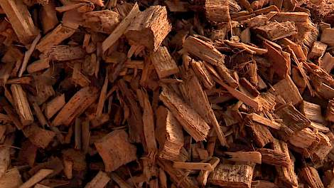 ForFarmers bouwt biomassacentrale voor energiebehoefte Lochem | Melkvee ...